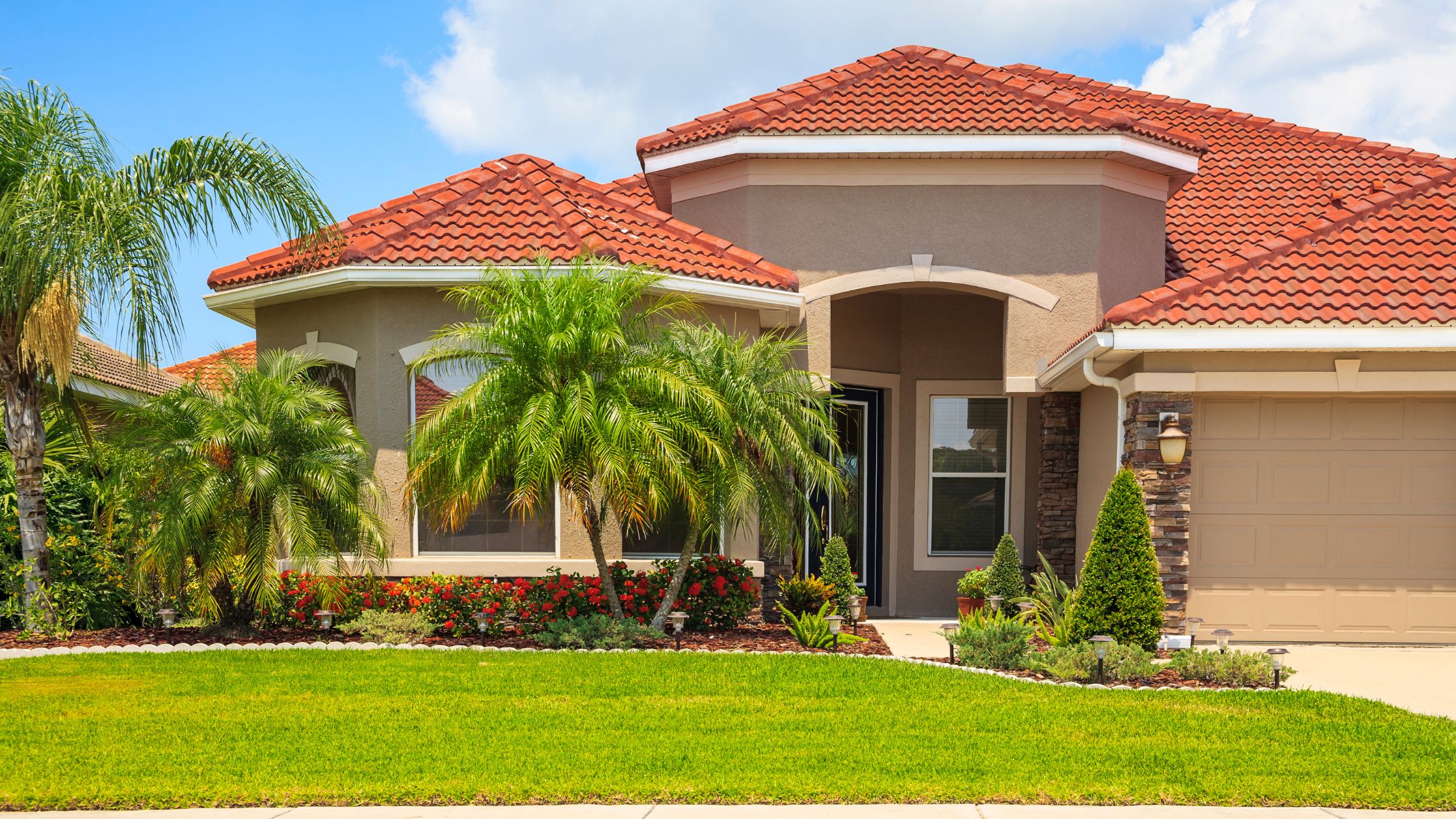 I Just Bought a Central Florida Property; How Do I Remove Unwanted Trees?