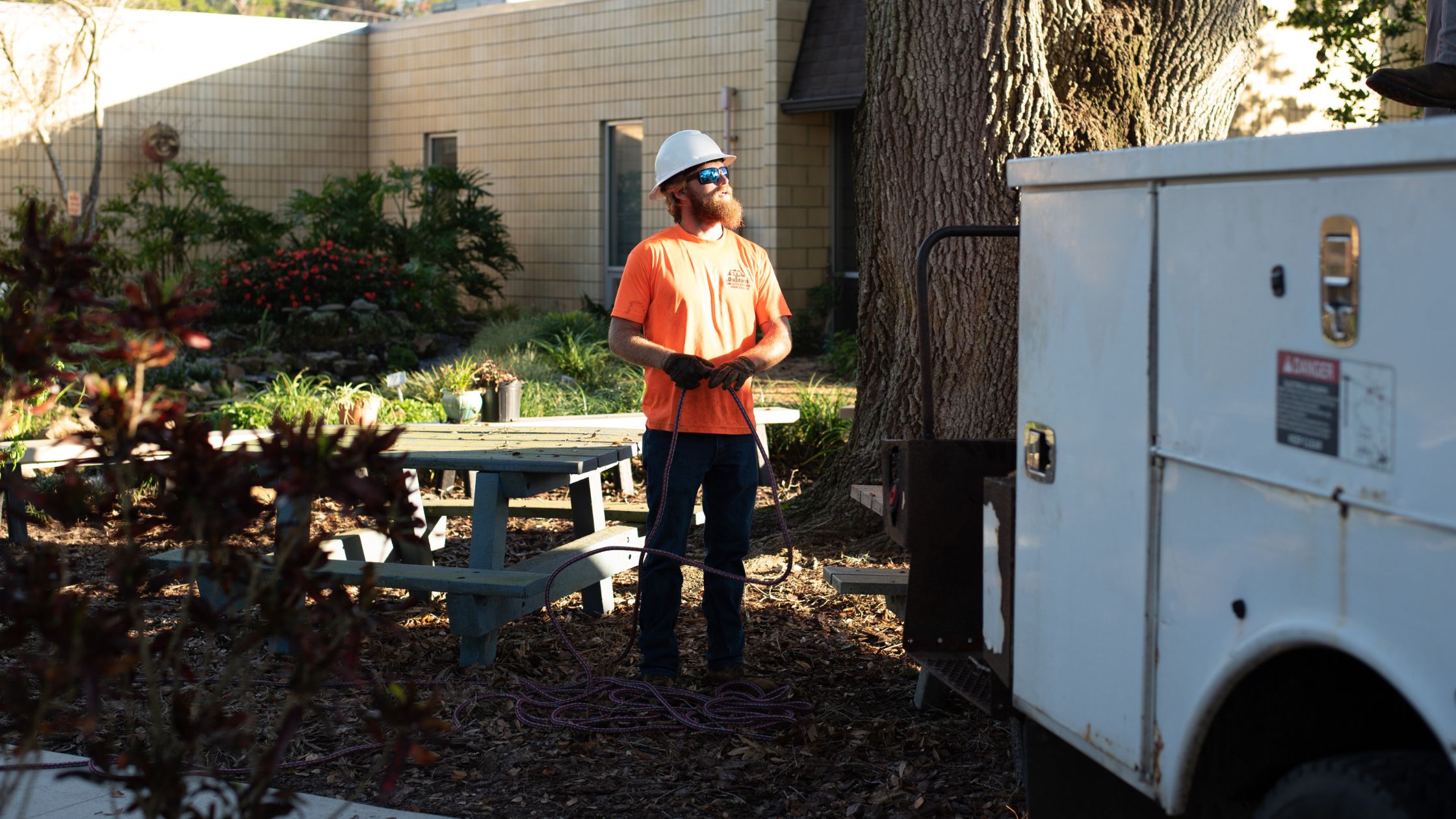 3 Reasons You Should Call CFB Outdoors For Tree Removal